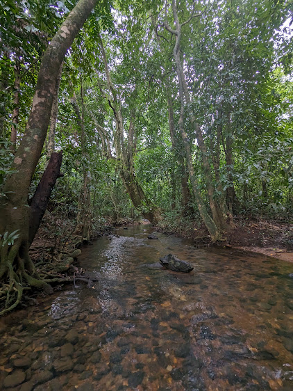 Dudhsagar Ultra Trail, Goa